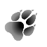 Purchase a Cheetah rodent control machine